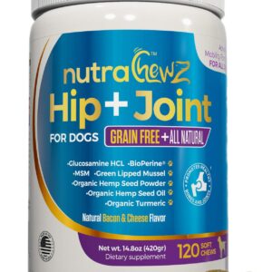 NUTRACHEWZ Grain Free Hip & Joint Supplement for Dogs with Organic Hemp Oil, Glucosamine Chondroitin, Turmeric, MSM, Green Lipped Mussel for Arthritis, Pain Relief, Mobility All Natural - 120 Chews