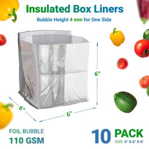 Amiff Foil Insulated Box Liners, 6 x 6 x 6 Inches. 10 Pack Insulated Shipping Boxes for Frozen Food. Self-Seal Insulated Boxes for Shipping Food. Leakproof Insulated Shipping Containers