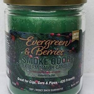 Smoke Odor Exterminator 13oz Jar Candles (Evergreen & Berries, 2)