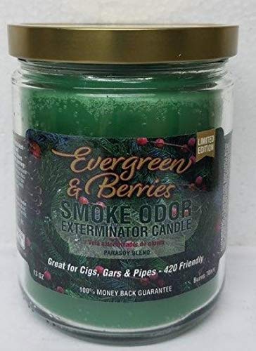 Smoke Odor Exterminator 13oz Jar Candles (Evergreen & Berries, 2)