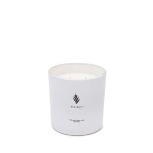 Archipelago Botanicals Big Sur Luxe Candle, California Cedar, Amber and Musk Scent, Elegant White Glass Jar Candle, Coconut Wax, Double Wicks Burn 100 Hours (13 oz)