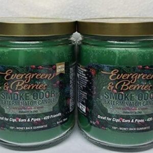 Smoke Odor Exterminator 13oz Jar Candles (Evergreen & Berries, 2)