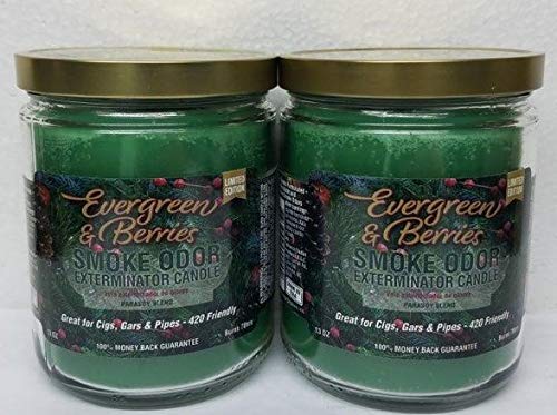 Smoke Odor Exterminator 13oz Jar Candles (Evergreen & Berries, 2)