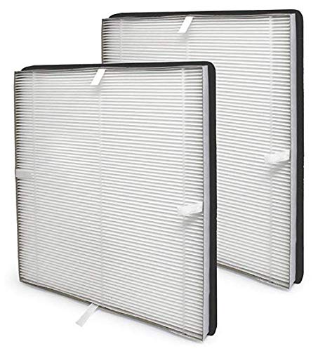 Fette Filter -Combo Pack of 2 True Hepa Filters and 4 Pre-Filters Compatible with Vornado Air Purifiers AC300, AC350, AC500, AC550, PCO200, PCO375DC, PCO575DC, PCO300 and PCO500# MD1-0023 & MD1-0022