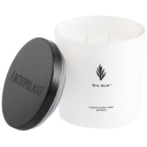 archipelago botanicals big sur luxe candle, california cedar, amber and musk scent, elegant white glass jar candle, coconut wax, double wicks burn 100 hours (13 oz)