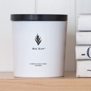 Archipelago Botanicals Big Sur Luxe Candle, California Cedar, Amber and Musk Scent, Elegant White Glass Jar Candle, Coconut Wax, Double Wicks Burn 100 Hours (13 oz)