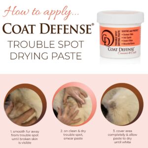 COAT DEFENSE Trouble Spot Drying Paste - Made in USA - 5 Oz Dog & Cat Skin Care, Itchy Skin & Allergies, Alleviates Hot Spots for Dogs & Cats, Insect Bites Relief & Dog Wound Care