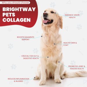 Grass fed Collagen for Dogs - Supports Health Skin & Coat, Hip, Joint Care & Cartilage Support + Skin Health and Mobility, 100% All Natural Collagen