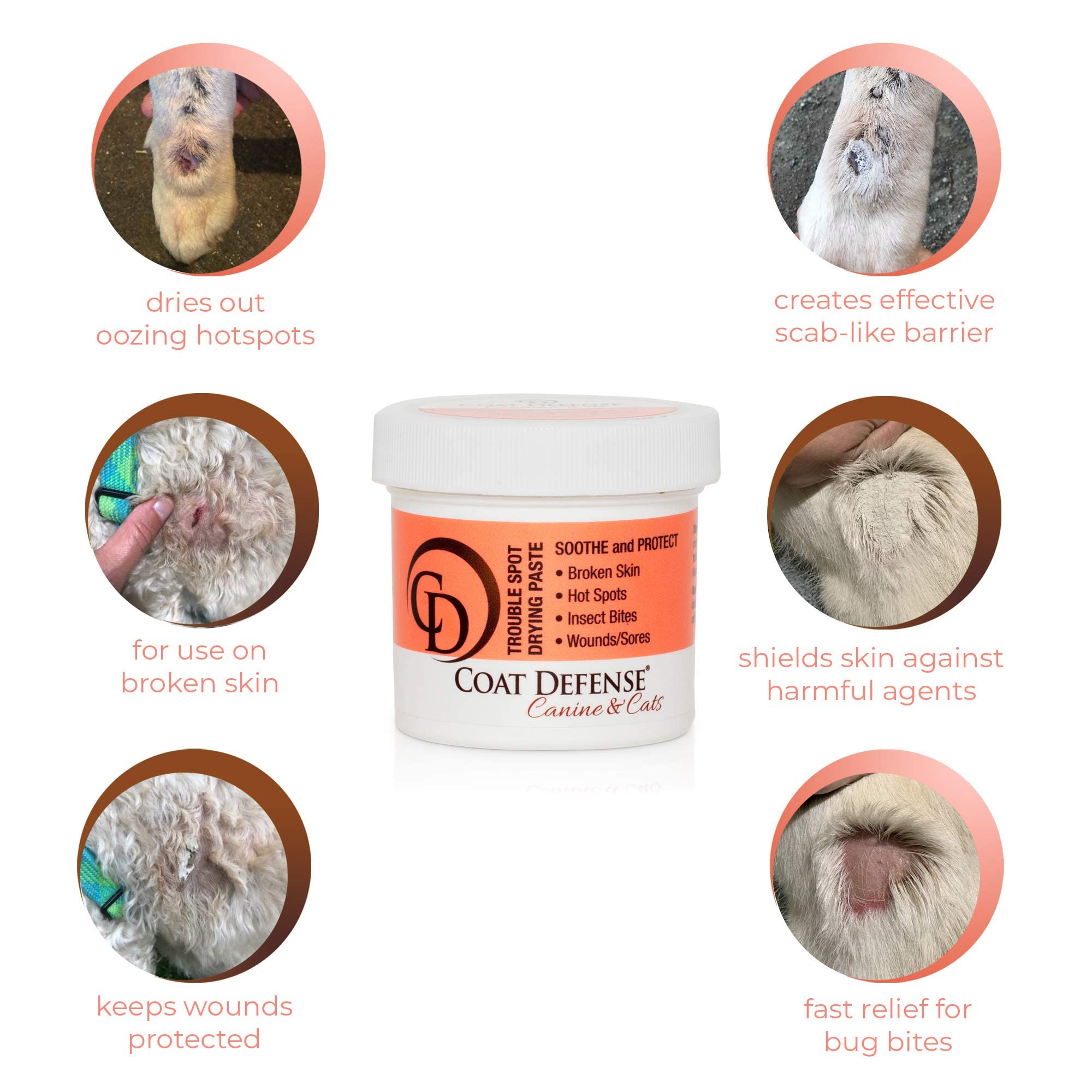 COAT DEFENSE Trouble Spot Drying Paste - Made in USA - 5 Oz Dog & Cat Skin Care, Itchy Skin & Allergies, Alleviates Hot Spots for Dogs & Cats, Insect Bites Relief & Dog Wound Care