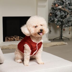 Vecomfy Fleece Lining Extra Warm Dog Hoodie in Winter,Small Dog Jacket Puppy Coats with Hooded,Red XS