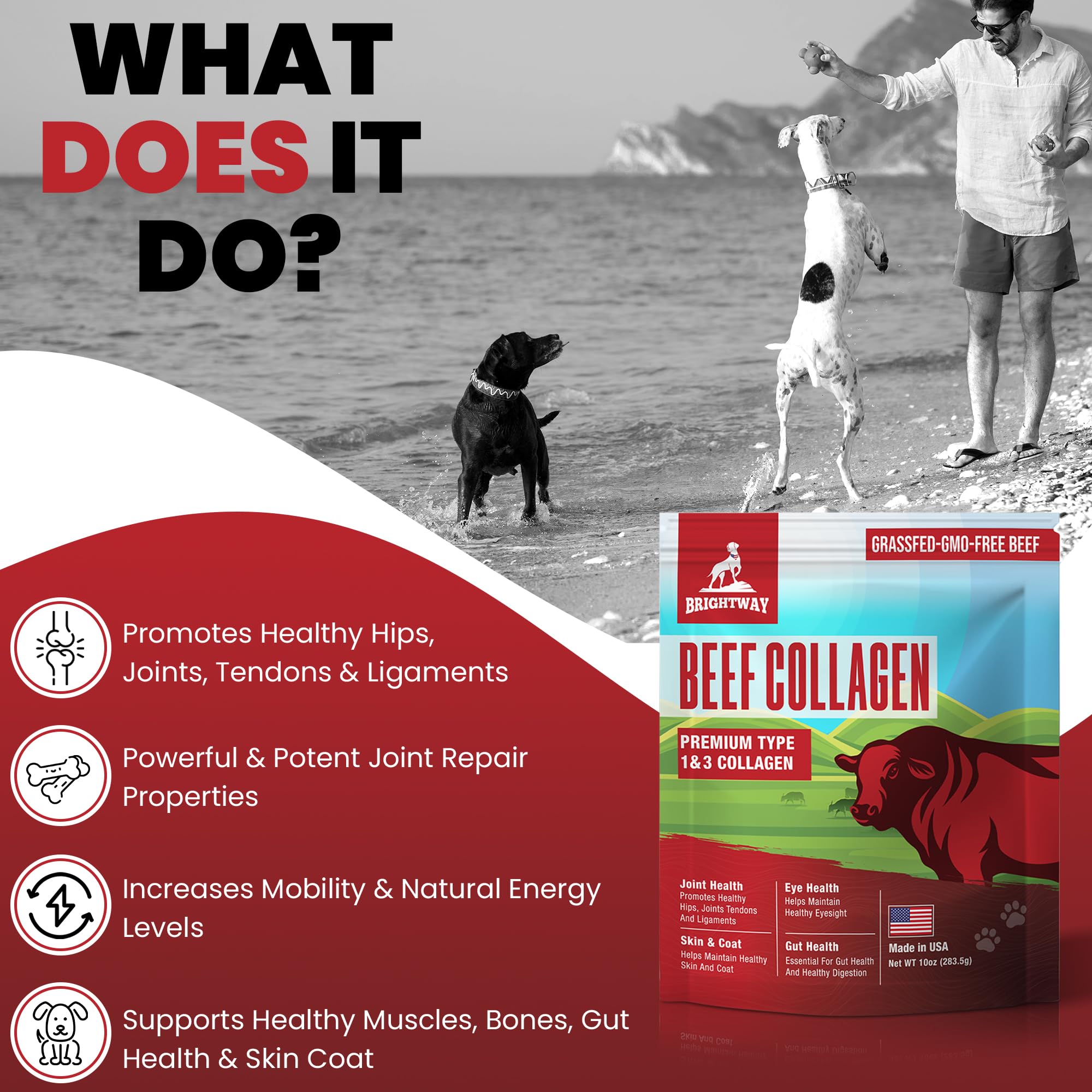 Grass fed Collagen for Dogs - Supports Health Skin & Coat, Hip, Joint Care & Cartilage Support + Skin Health and Mobility, 100% All Natural Collagen