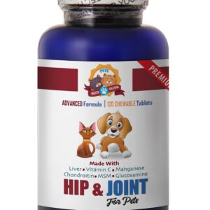 Hip and Joint Supplements - Hip and Joint Health for Pets - Dogs and Cats - Premium - Treats - Dog glucosamine Treats - 120 Chews (1 Bottle)