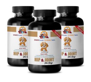 pet joint supplements - dog hip and joint support - premium formula - dog bites healthy - dog msm chews - 3 bottle (360 chews)