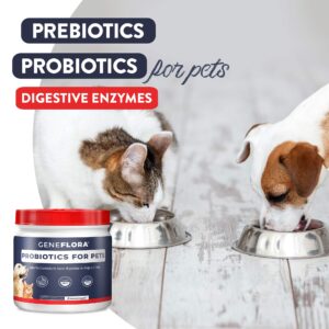 ActivHealth Digestive Enzymes and Probiotic for Pets (Dogs, Cats, Rabbits and More, 125 mg, 120 servings) by Geneflora for Pets Pack of 2