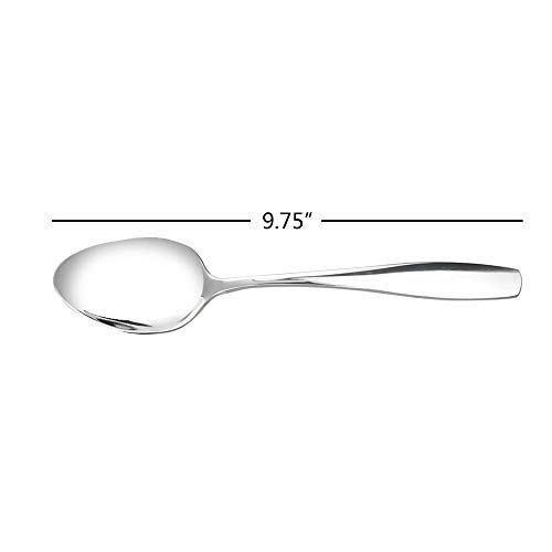 Ggbin Stainless Steel Dinner Buffet Serving Spoons, 9.75 Inches, Set of 6