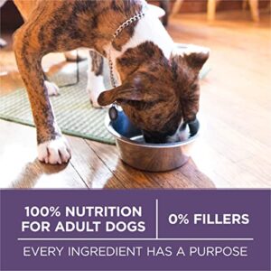 Purina ONE High Protein Dry Senior Dog Food Plus Vibrant Maturity Adult 7 Plus Formula - (Pack of 4) 4 lb. Bags