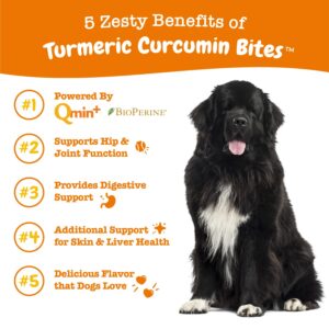 Zesty Paws Turmeric Curcumin for Dogs - for Hip & Joint Mobility Supports Canine Digestive Cardiovascular & Liver Health - Coconut Oil for Skin Health with 95% Curcuminoids + BioPerine Bacon, 90 Count