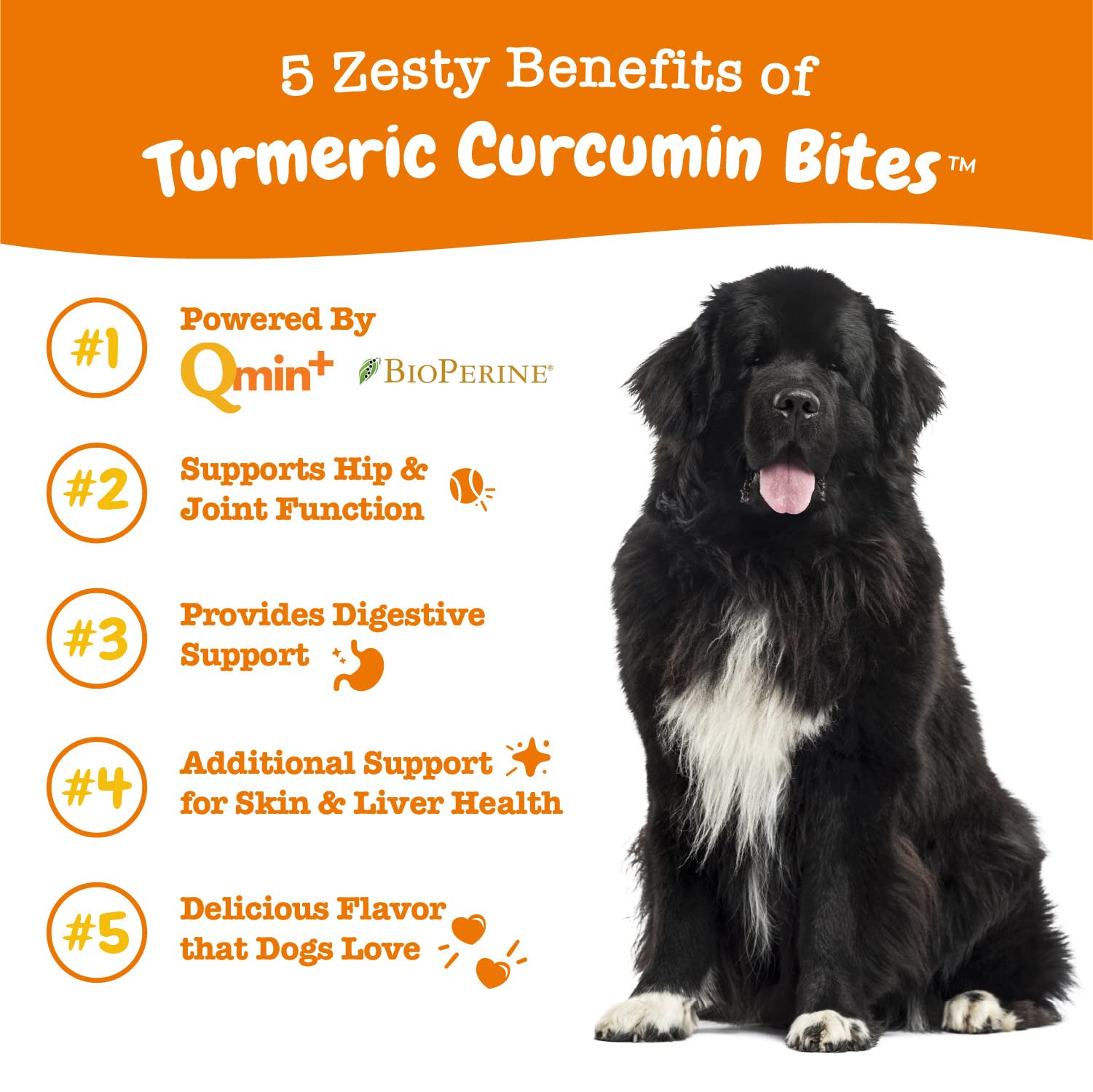 Zesty Paws Turmeric Curcumin for Dogs - for Hip & Joint Mobility Supports Canine Digestive Cardiovascular & Liver Health - Coconut Oil for Skin Health with 95% Curcuminoids + BioPerine Bacon, 90 Count