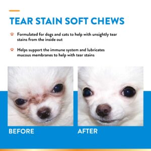 NaturVet Lutein Tear Stain Supplements for Dogs & Cats – Prevents Tear Stains for Dog, Cat Breeds – Includes Oregon Grape Root, Marshmallow Root, Cranberry Extract – 120 Ct.