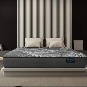 iDealBed Luxe Series Hybrid iQ5 Mattress with Reverie 5D Adjustable Bed Set, Massage, Zero Gravity, Pressure Relief Sleep System (Luxury Firm (Medium Firm Feel), Queen)