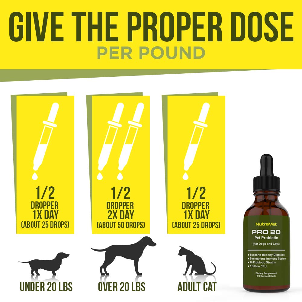 Probiotics for Dogs and Cat Probiotics - 120 servings (1/2ml). 100% Natural Digestive Enzymes for Gas Relief and Healthy Digestion. Prebiotics via Liquid Vitamins for Constipation & Leaky Gut