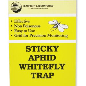 Aphid and Whitefly Sticky Traps - 5 Pack