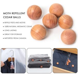 allhom dust proof garment bags - set of 6 pcs 40 inch hanging clothing storage bags and cedar balls,for jacket, shirt, sweater, suit