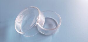 beyondsupply-lab glass petri dish clear borosillicate 35mm (1.37inch=1 3/8″) pack of 5