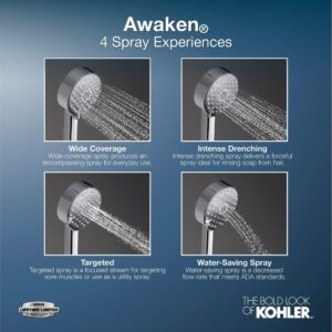 KOHLER 72421-H-CP Awaken Handshower, Polished Chrome