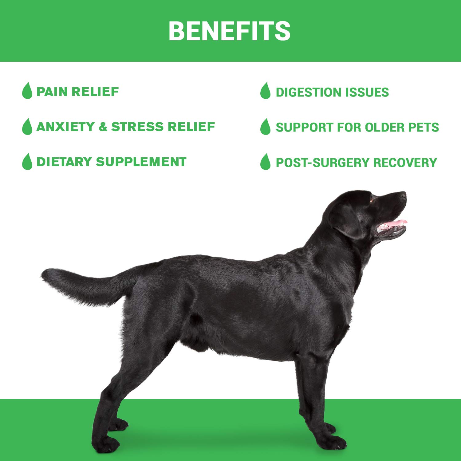 Organic Hemp Oil for Pets - Herbal Drops - Separation Anxiety and Pain Relief - Stress Support - Calming Effect - Supports Hip & Joint Health - Reduce Pain and Inflammation - 100% Natural