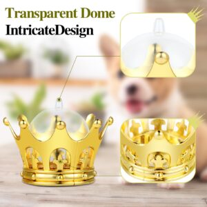 JC HUMMINGBIRD JCHB 12 Pieces Fillable Gold Crown with Dome Party Favors, Birthday, Graduation, Celebration