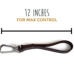 Mighty Paw Short Dog Leash - Training Traffic Lead with Carabiner Clip - Dog Leash Training Lead - Short Slip Lead Dog Leash - Short Lead Dog Training - Dog Carabiner Clip - Brown - 12 Inches