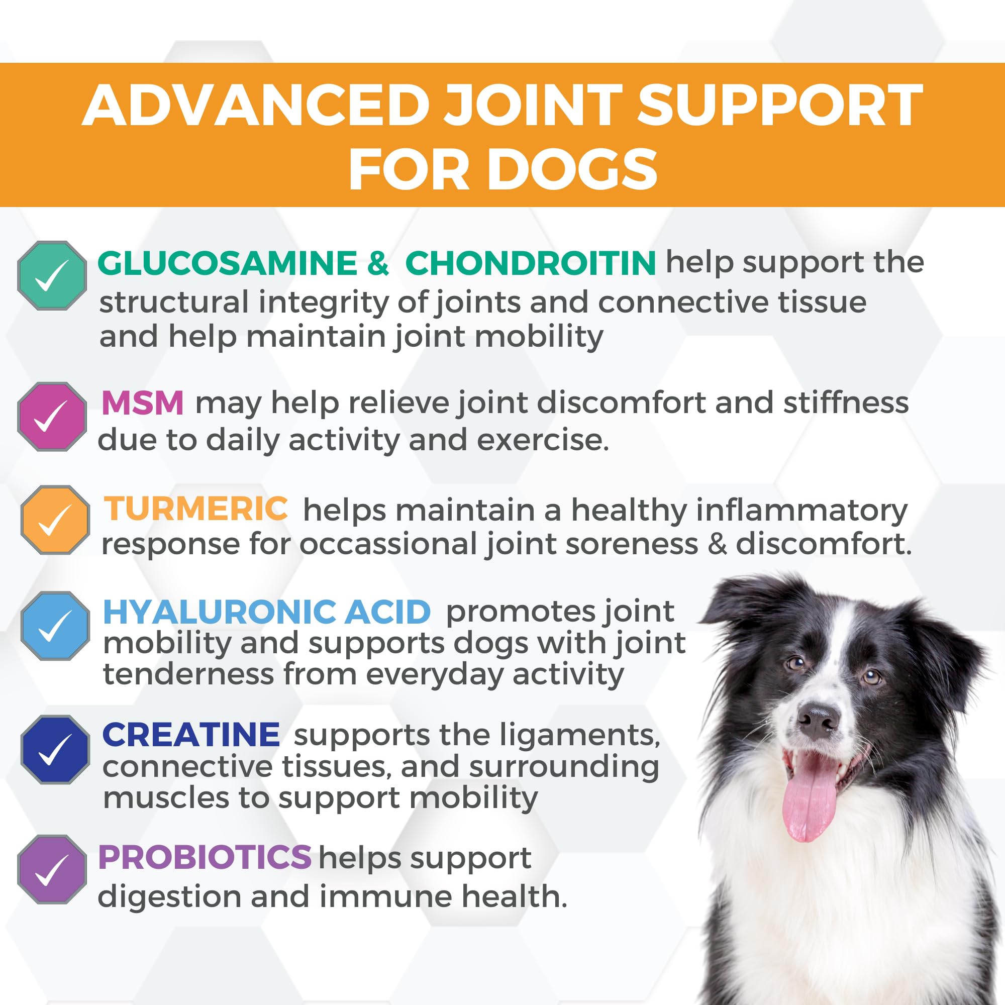 Nootie Progility Hip & Joint Supplement for Dogs, Dog Joint Support with Glucosamine and Chondroitin, 90 Count