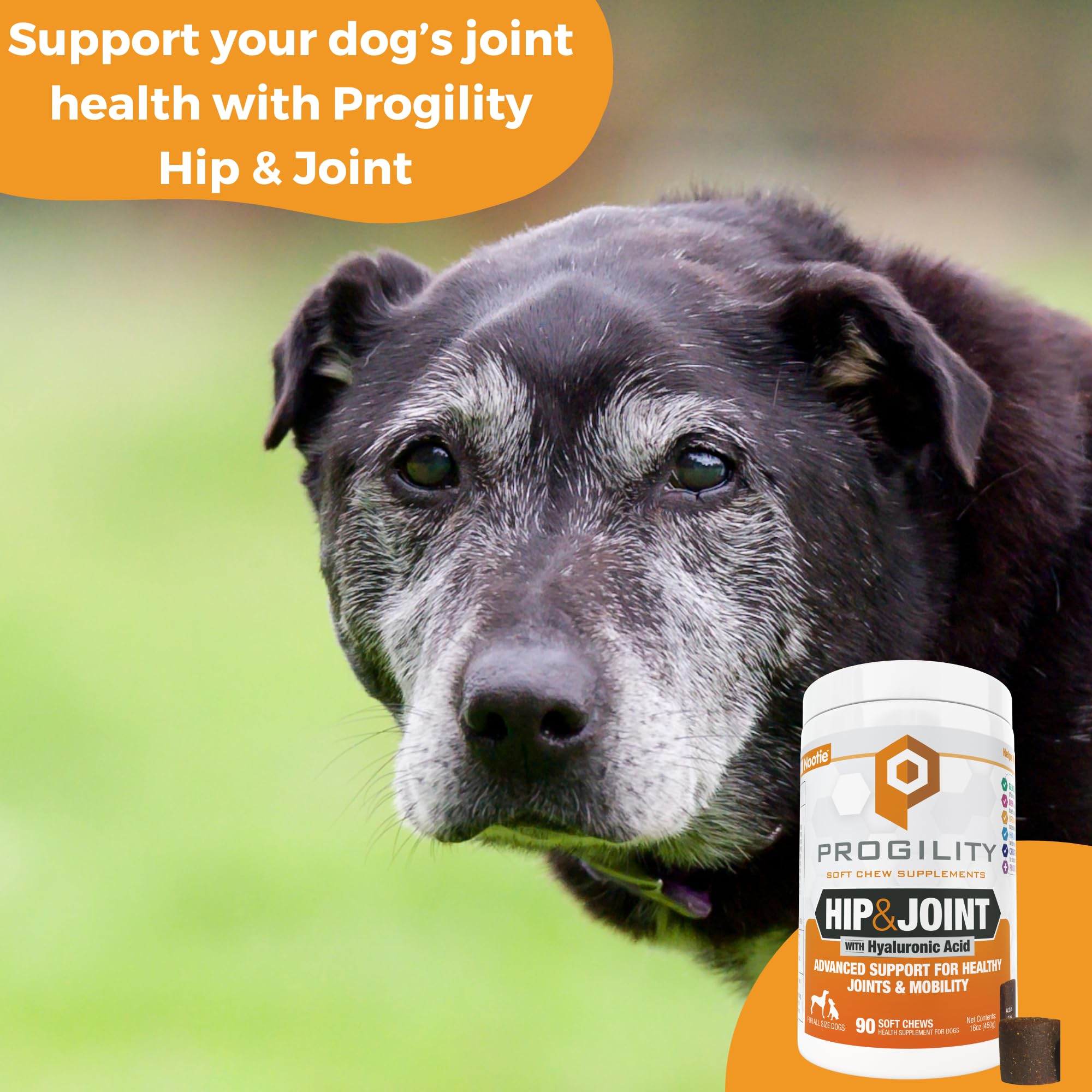 Nootie Progility Hip & Joint Supplement for Dogs, Dog Joint Support with Glucosamine and Chondroitin, 90 Count