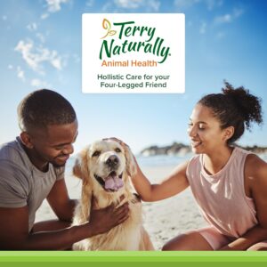 Terry Naturally Animal Health Intelligent Omega - 60 Soft Chews - Omega 3 from Salmon for Dogs - Promotes Brain & Eye Health - 60 Servings