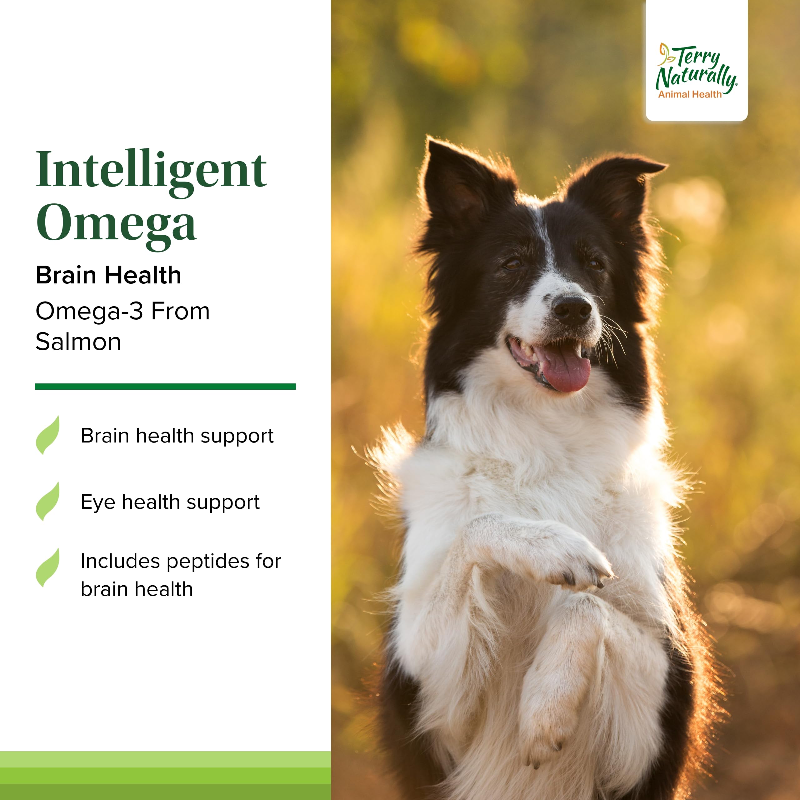 Terry Naturally Animal Health Intelligent Omega - 60 Soft Chews - Omega 3 from Salmon for Dogs - Promotes Brain & Eye Health - 60 Servings