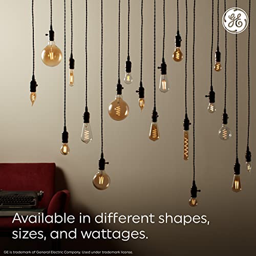 GE Vintage Style LED Light Bulbs, 60 Watt, Clear Finish, ST19 Edison Style Bulbs (2 Pack)