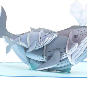 PopLife Humpback Whale Parent and Child 3D Pop Up Card - Mother's Day Gift, Whale Lover's Birthday, Graduation - for Mom, for Daughter, for Son, for Parent, for Dad