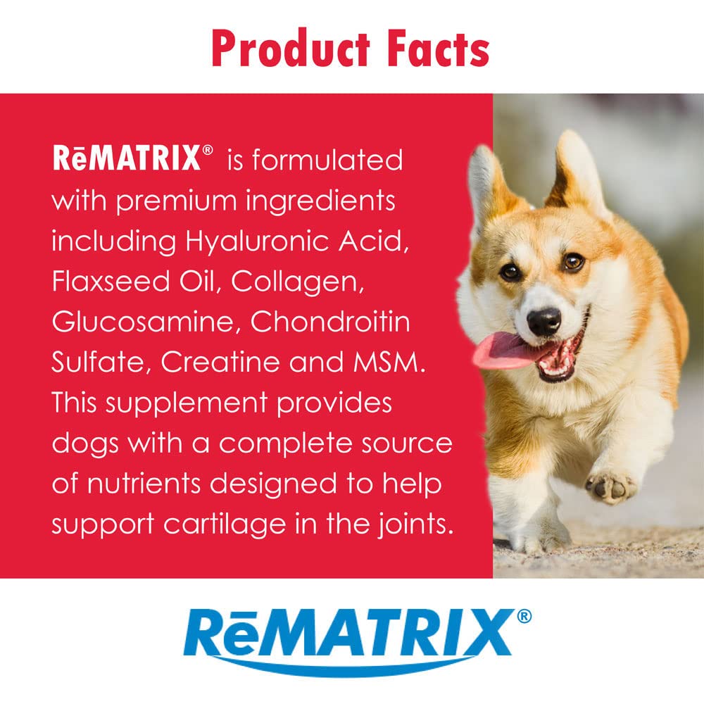 ReMATRIX Joint Support Supplement for Dogs - Glucosamine, Chondroitin, MSM, Omega-3 - Hip and Joint Pain Relief and Support for Dogs - Made in USA - 60 Soft Chews