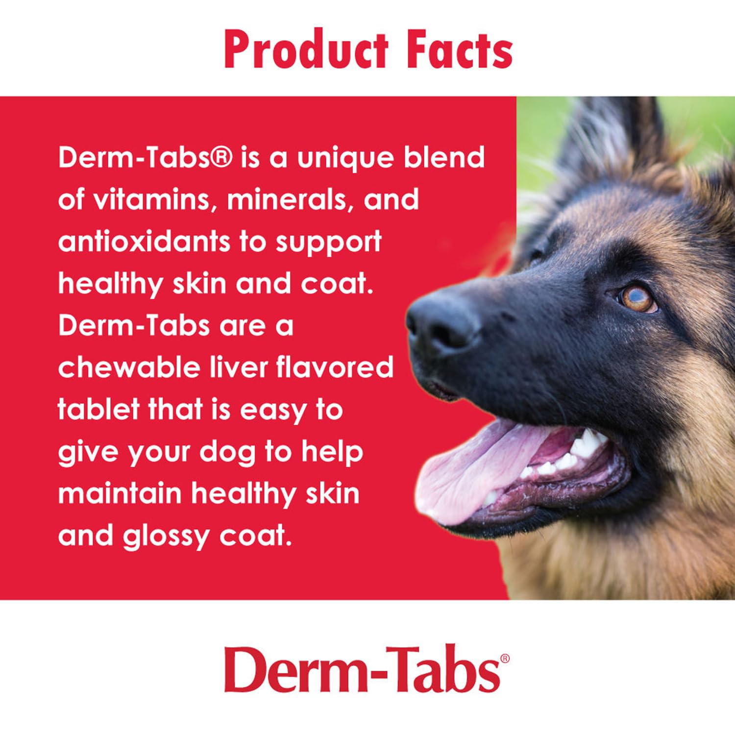 Derm Tabs Regular Strength for Dogs - Natural Oil, Vitamins, Minerals, and Antioxidants - Support Healthy Skin and Reduce Shedding - 120 Chewable Tablets