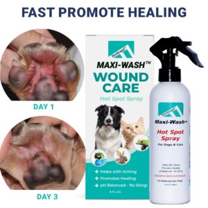 Forticept Maxi-Wash Hot Spot Spray Treatment, Wound Care & Itch Relief Spray for Dogs and Cats. Relives Scratching, Rashes, Sores, Itchy Skin and Paw Licking 8 oz