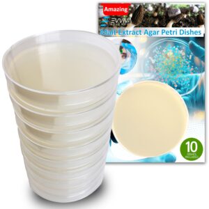 malt extract agar plates - evviva sciences - great for mushrooms, molds, fungus - 10 prepoured mea petri dishes - also great for science fair projects!