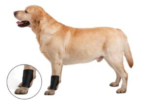 zenpet ligament wrap for dogs (small)