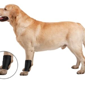 ZenPet Ligament Wrap for Dogs (Small)