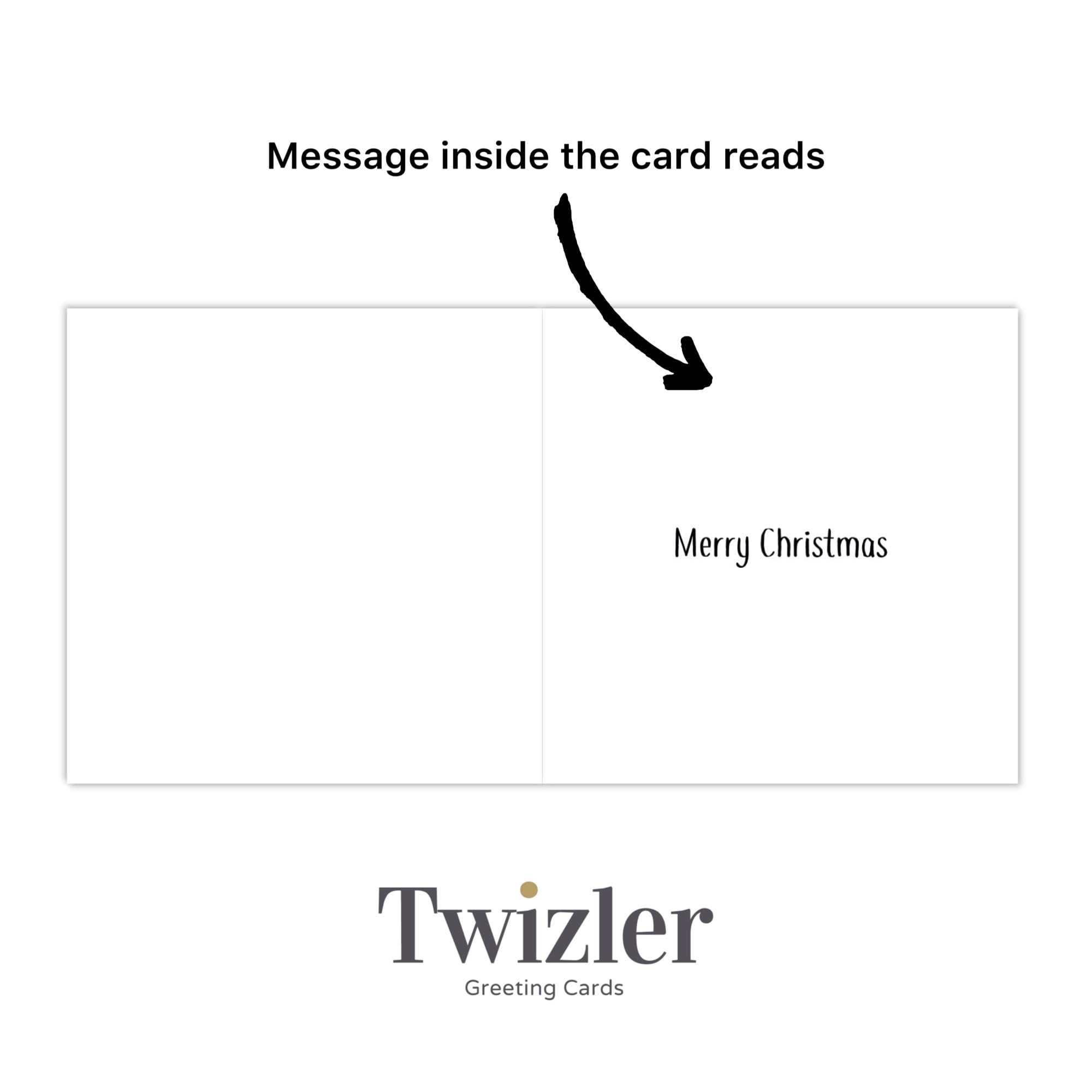 Twizler Merry Christmas Card with Worst Birthday Party - Happy Christmas Card - Xmas Card – Funny Christmas Card -Womens Christmas Card -Mens Christmas Card -Female Christmas Card -Male Christmas Card