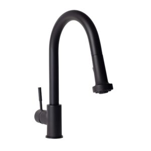 zline monet kitchen faucet (fpnz-mb)