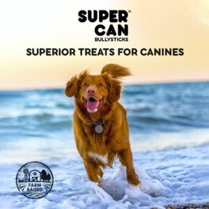 SUPERCAN BULLYSTICKS 6" Beef Bully Sticks for Small Medium Large Dogs (25pc) 100% Natural Dog Chews - Long Lasting Treats for Aggressive Chewers - Healthy Teeth