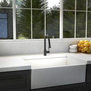 ZLINE Monet Kitchen Faucet (FPNZ-MB)