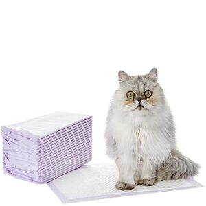 amazon basics cat pad refills for litter box, unscented - pack of 20, purple and white