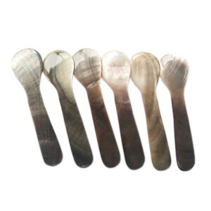 duebel set of 6 shining mother of pearl mop 7.5cm x 2cm shell spoons for caviar, egg serving (black)